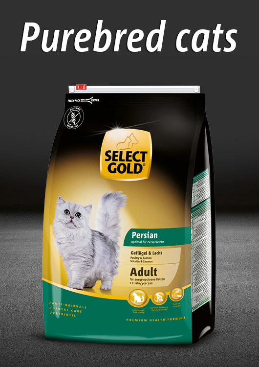 Cat - SELECT GOLD