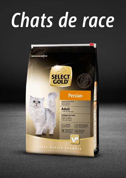 Chats - SELECT GOLD