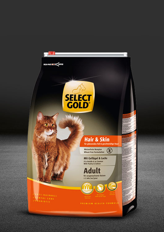 Kot - SELECT GOLD
