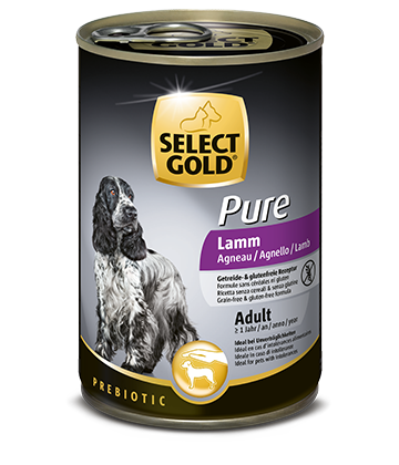 Dog - SELECT GOLD