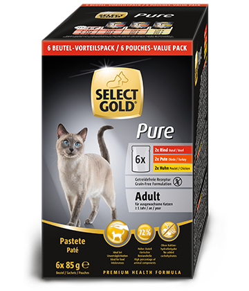 Chats - SELECT GOLD